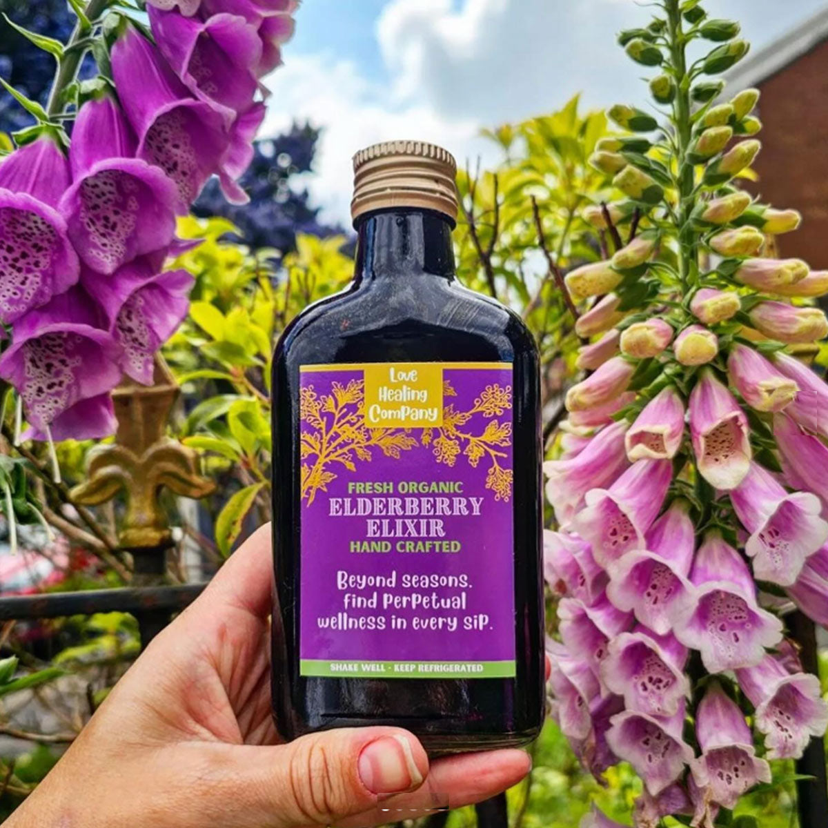 Elderberry Elixir | Organic Syrup – Kachina Holistics