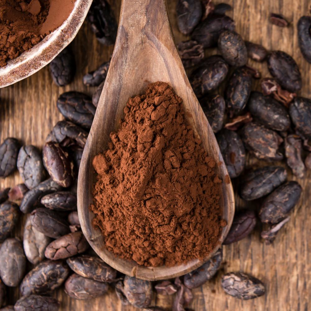 Organic Raw Cacao Powder 100g – Kachina Holistics